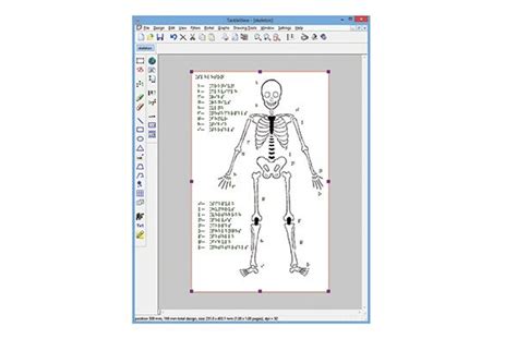 Image result for How to Use Tactile View
