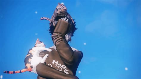 Image result for PSO2 How to Get Pet