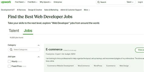 Image result for Up Work Developer