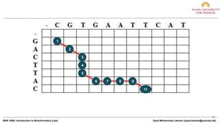Image result for Global Sequence Alignment Examples