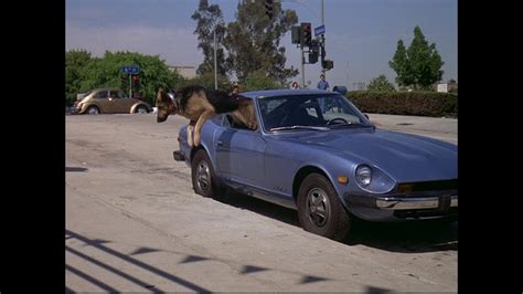 Image result for Bionic Woman Bionic Dog