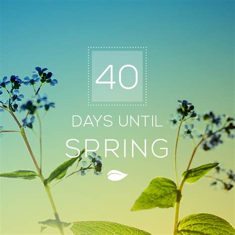 Image result for Countdown Spring