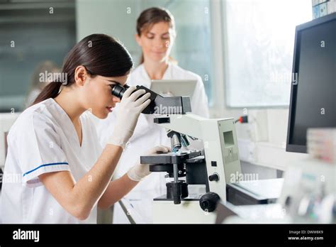 Image result for Looking through Microscope