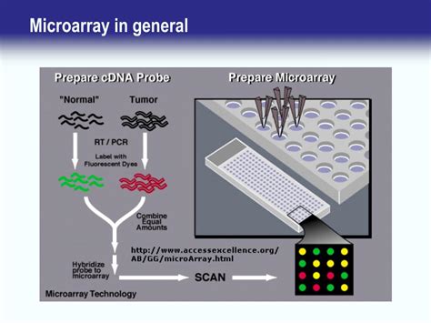 Image result for Microarray Gene Expression