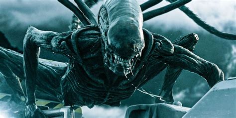 Image result for Alien Co-op