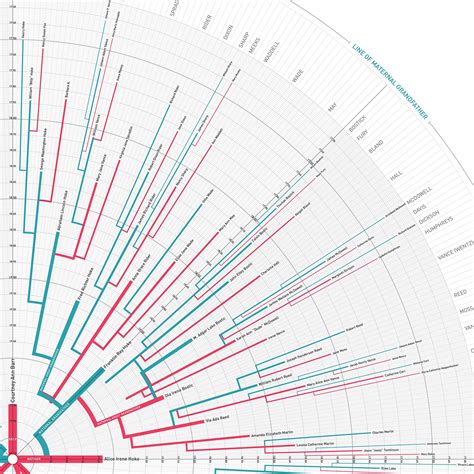 Image result for Linux Tree of Life