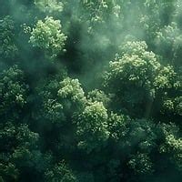 Image result for Creeper Exploding Sound Effect