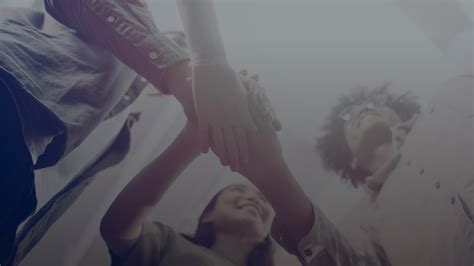 Image result for Medit Software