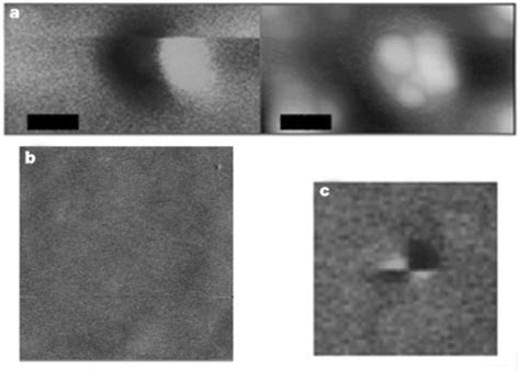 Image result for Multi-Directional Magnetic Particle