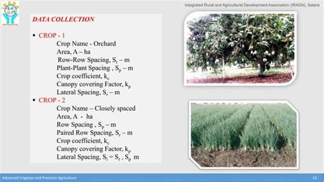 Image result for Drip Irrigation System Design Examples