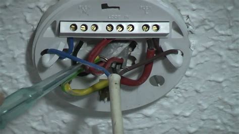 Image result for Ceiling Rose Junction Box