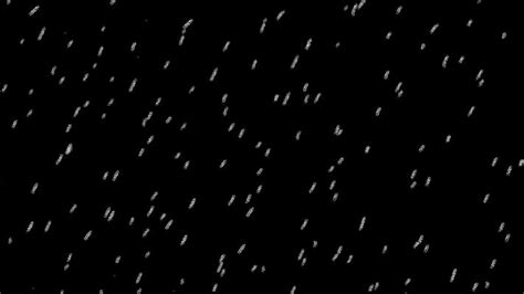 Rain Animation Transparent Stock Video Footage for Free Download