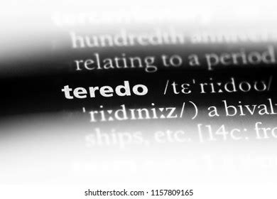 Image result for Teredo Session Example