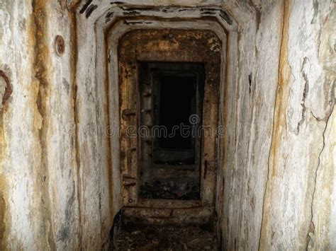 Image result for First Factory Exit