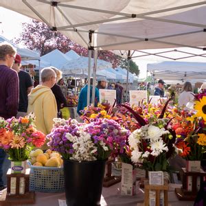 Image result for Salt Spring Island Fish Market