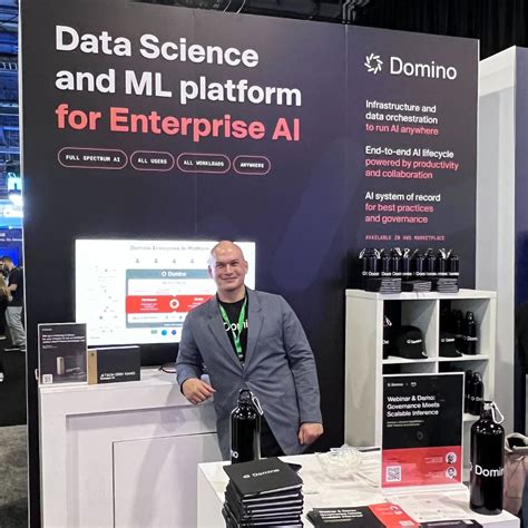 Image result for Domino Data Lab