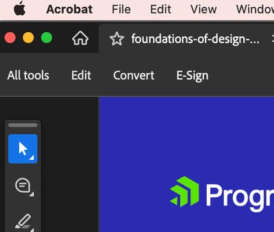 Image result for Adobe Add Fill