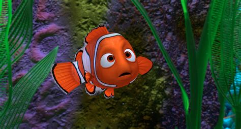 Image result for Finding Nemo Scared Fish