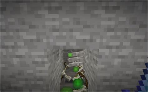Image result for How to Make a Skeleton Farm Java