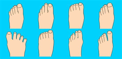 Image result for Different Types of Toes