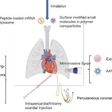 Image result for Reprogramming Factors