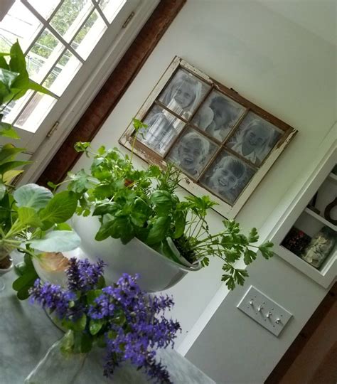 Image result for DIY Picture Frame Using Old Window