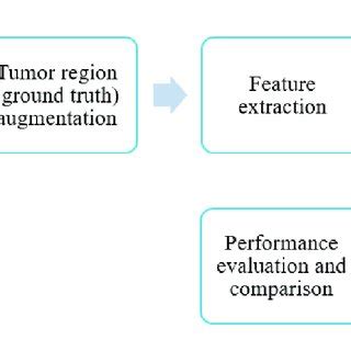Image result for Brain Tumor Classification Problem Statement