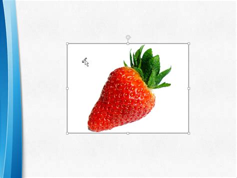 Image result for Set Transparent Color PowerPoint