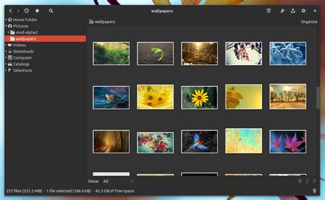 Image result for Ubuntu View