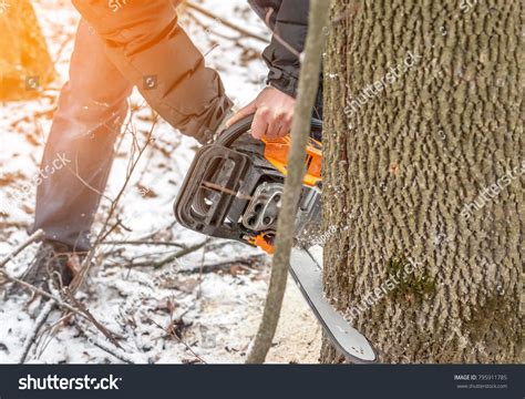 Image result for Tree Saws Hand