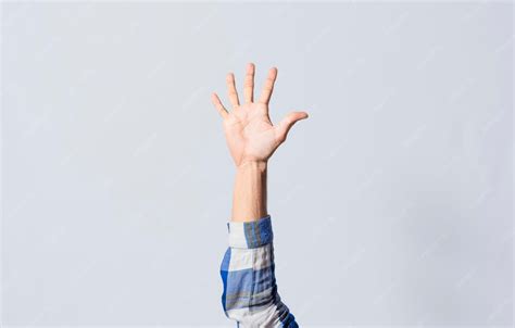 Image result for Five Sign Language