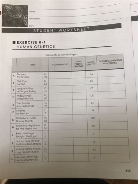 Image result for Human Genetics Worksheet Answers