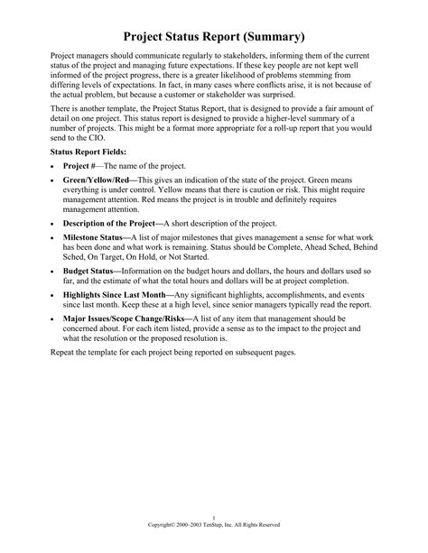 Image result for Status Report Examples