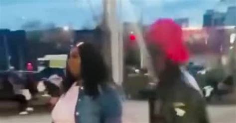 Image result for Fascinating Behavior