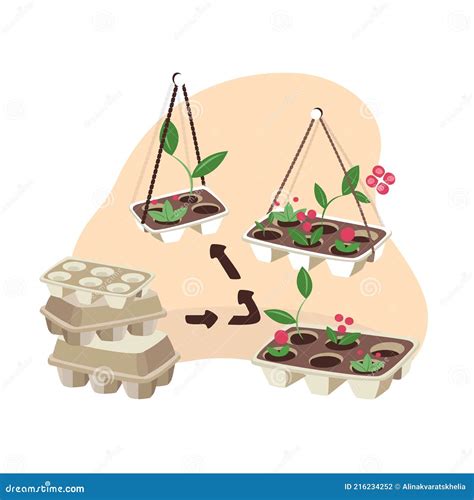 Image result for Box Plant Waste Pictures