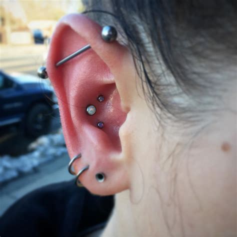 Image result for Conch Piercing