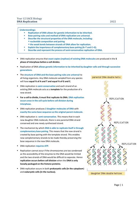 Image result for Life Science Grade 12 DNA Replication