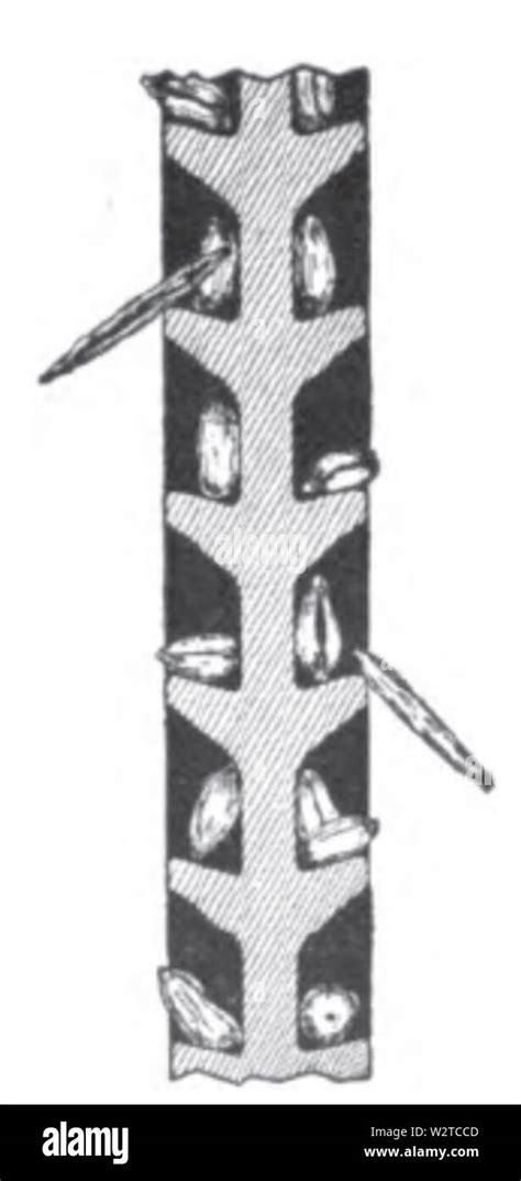 Image result for Disc Separator