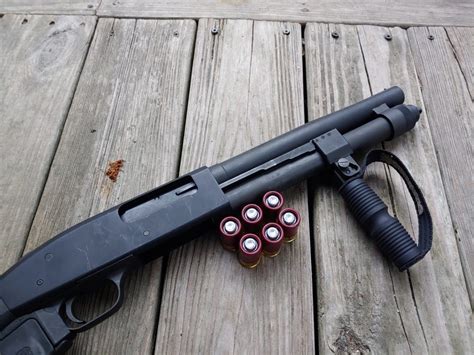 Image result for Small Shotgun Shells