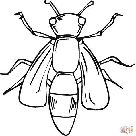 Image result for Printable Insects