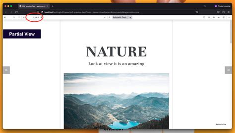 Image result for HTML PDF Preview