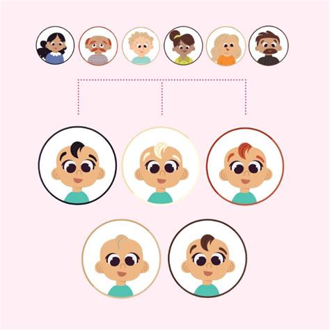 Image result for Punnett Square Explained Eye Color