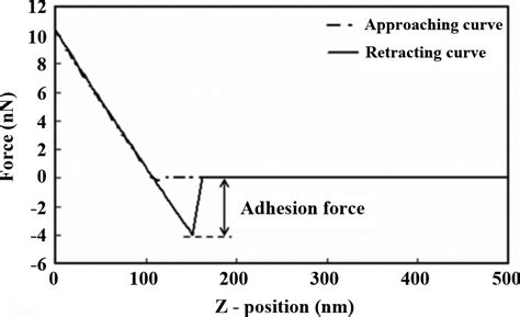 Image result for AFM Force Distance Graph