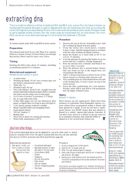 Image result for DNA Extraction Process On Plants