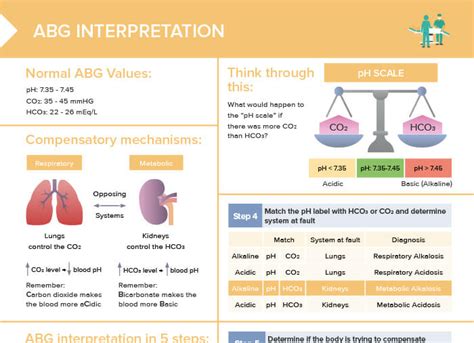 Image result for ABG Interpretation Guide