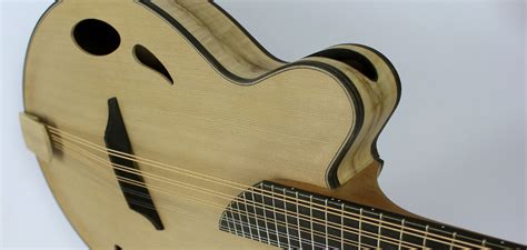 Image result for 6 String Mandolin