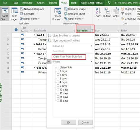 Image result for MS Project Using Critical Filter