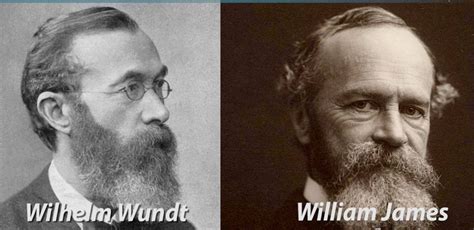 Image result for Difference of Structuralism and Functionalism