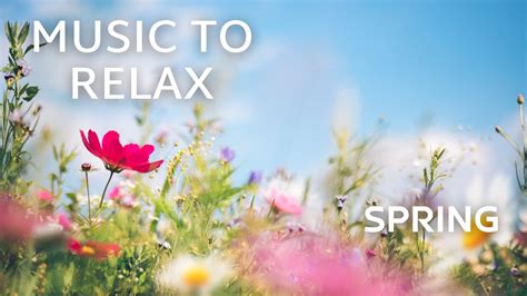 Image result for Calm Spring Music