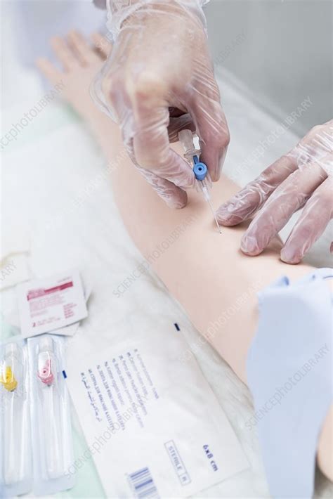 Image result for Insert IV Line